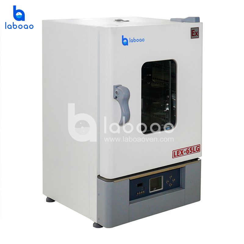 300℃ Explosion-proof Blast Drying Oven Manufacturer and Supplier in ...